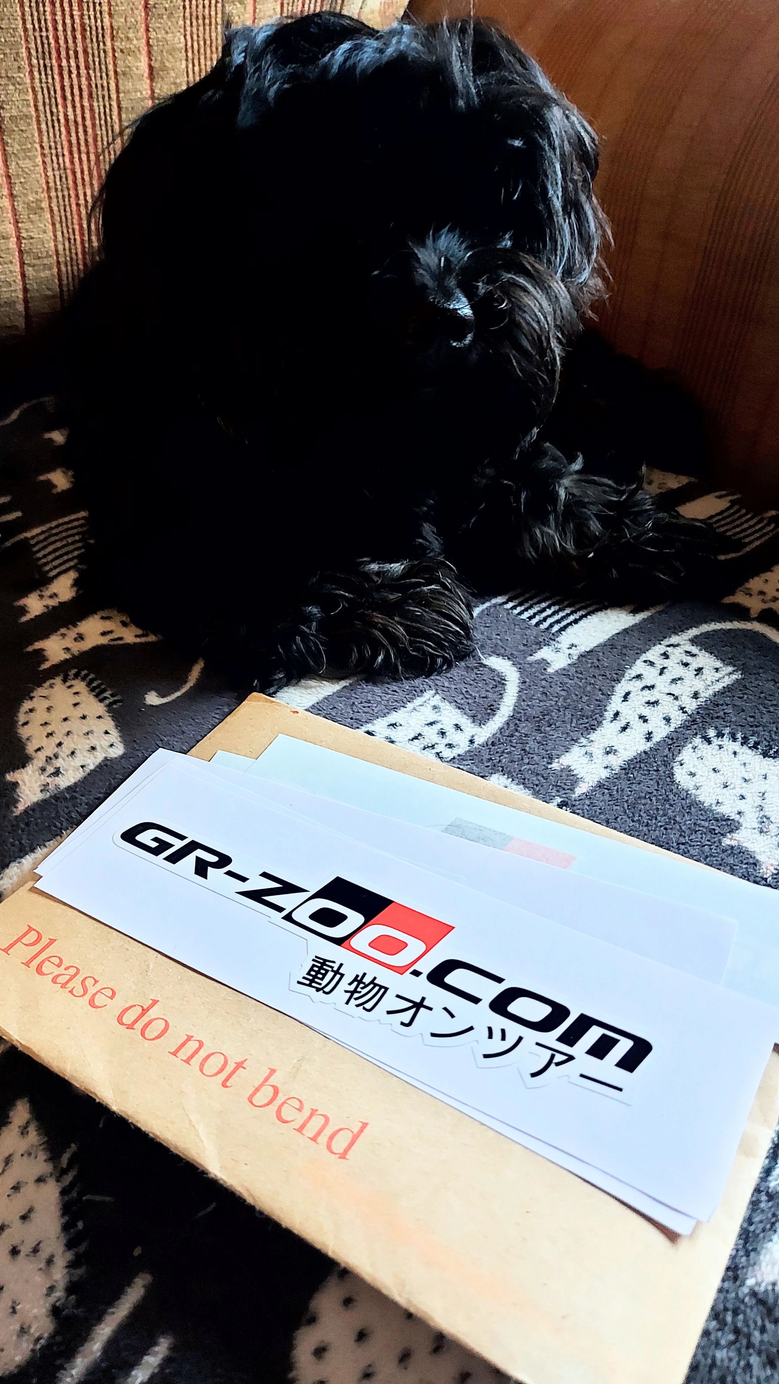 Merch - GR-Zoo Sticker Sets | Toyota GR Forum for owners of GR Yaris ...